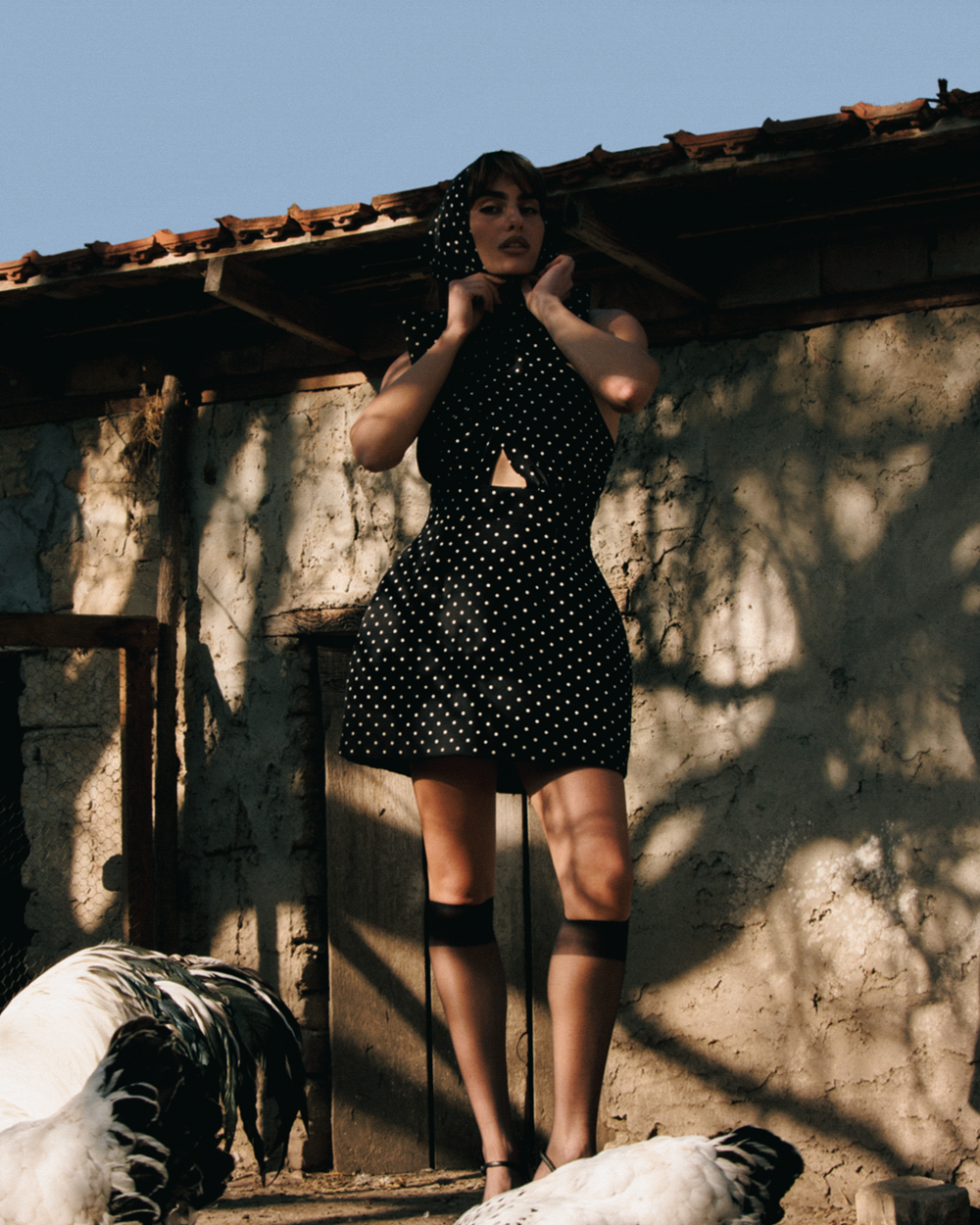 MILA BELL DRESS POIS – THE SHYGUY