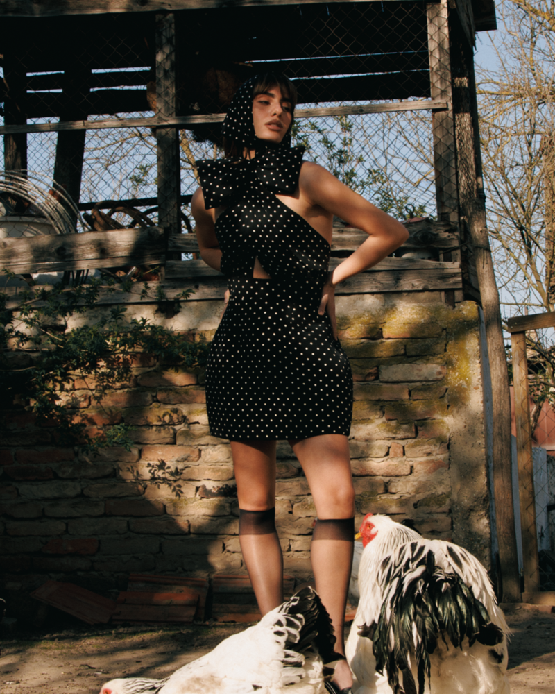 MILA BELL DRESS POIS – THE SHYGUY